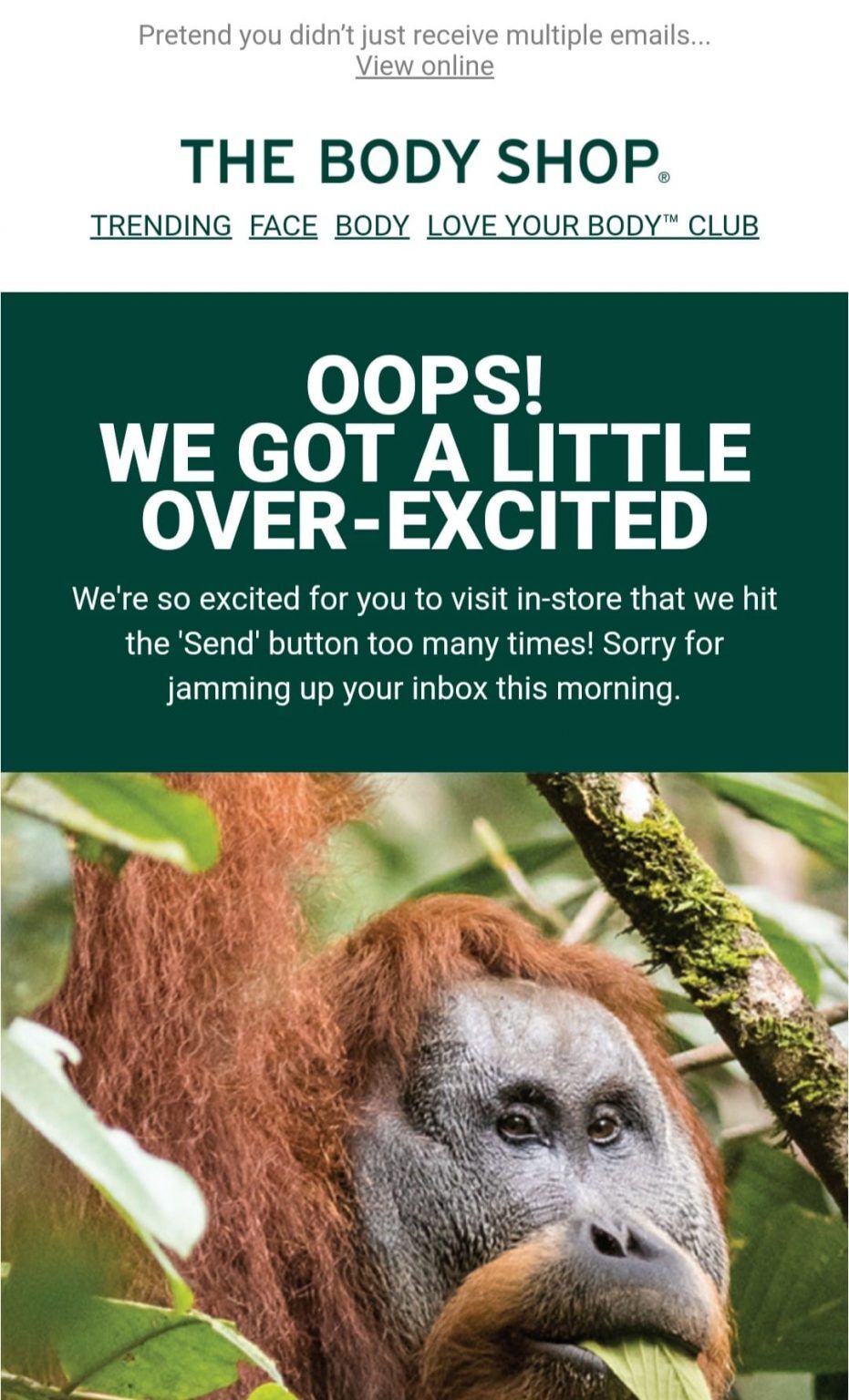 Apology Email: Resending Email With Correction Example (2025)