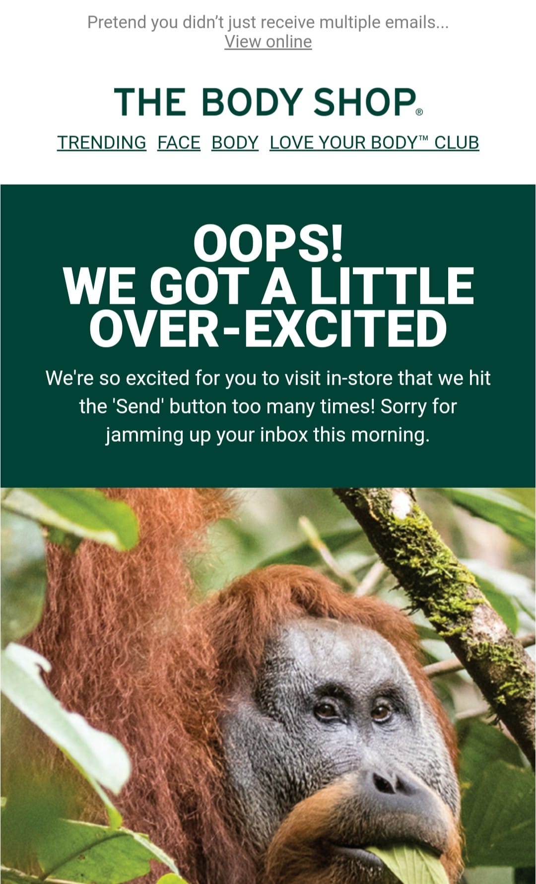 Apology Email: Resending Email With Correction Example (2025)