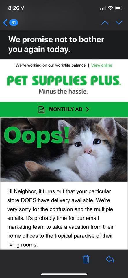 Apology Email: Resending Email With Correction Example (2025)