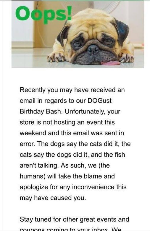 Apology Email: Resending Email With Correction Example (2025)